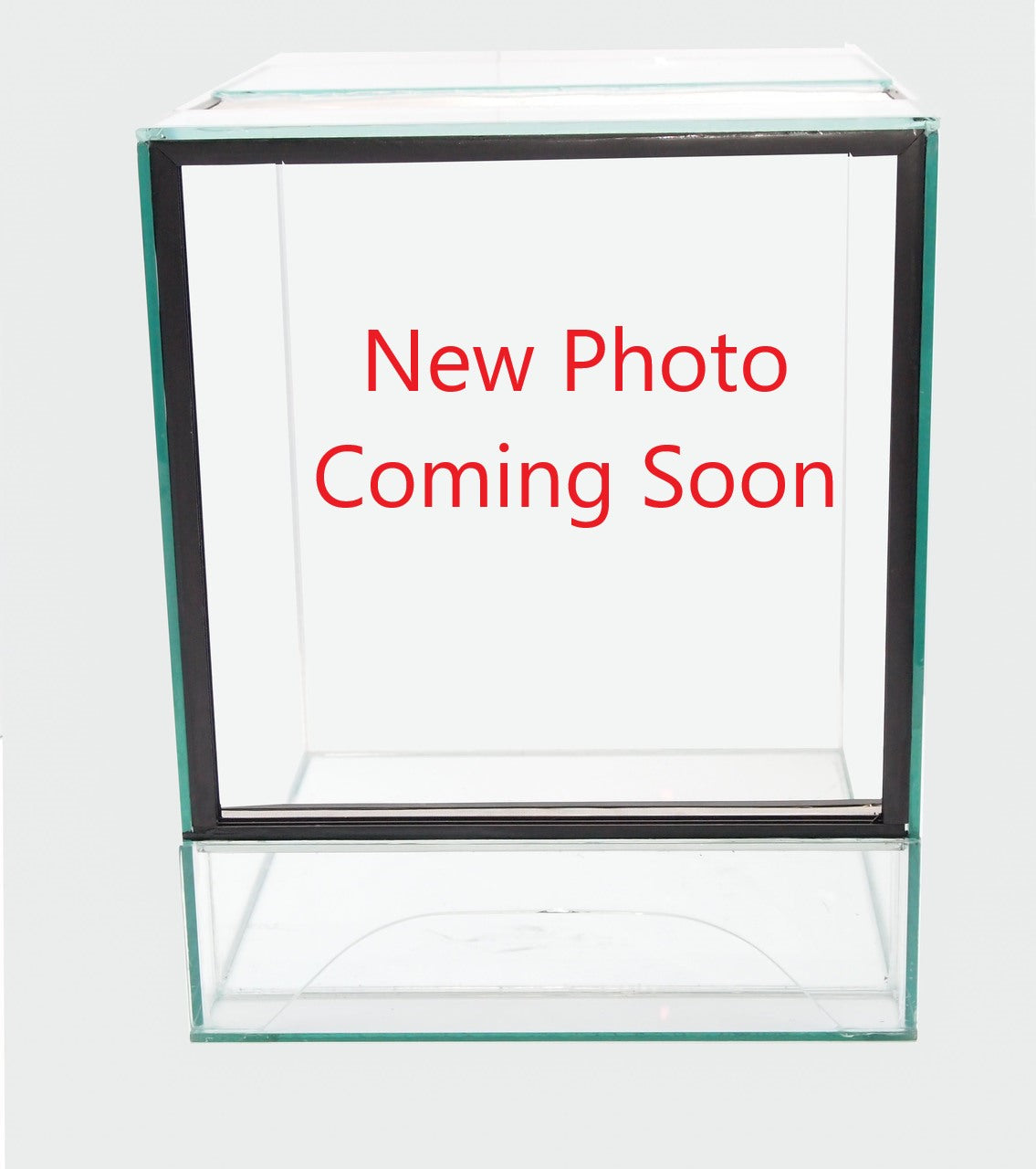 15″L x 17″D x 18″T Glass Venomous Reptile Terrarium – customglassterrariums
